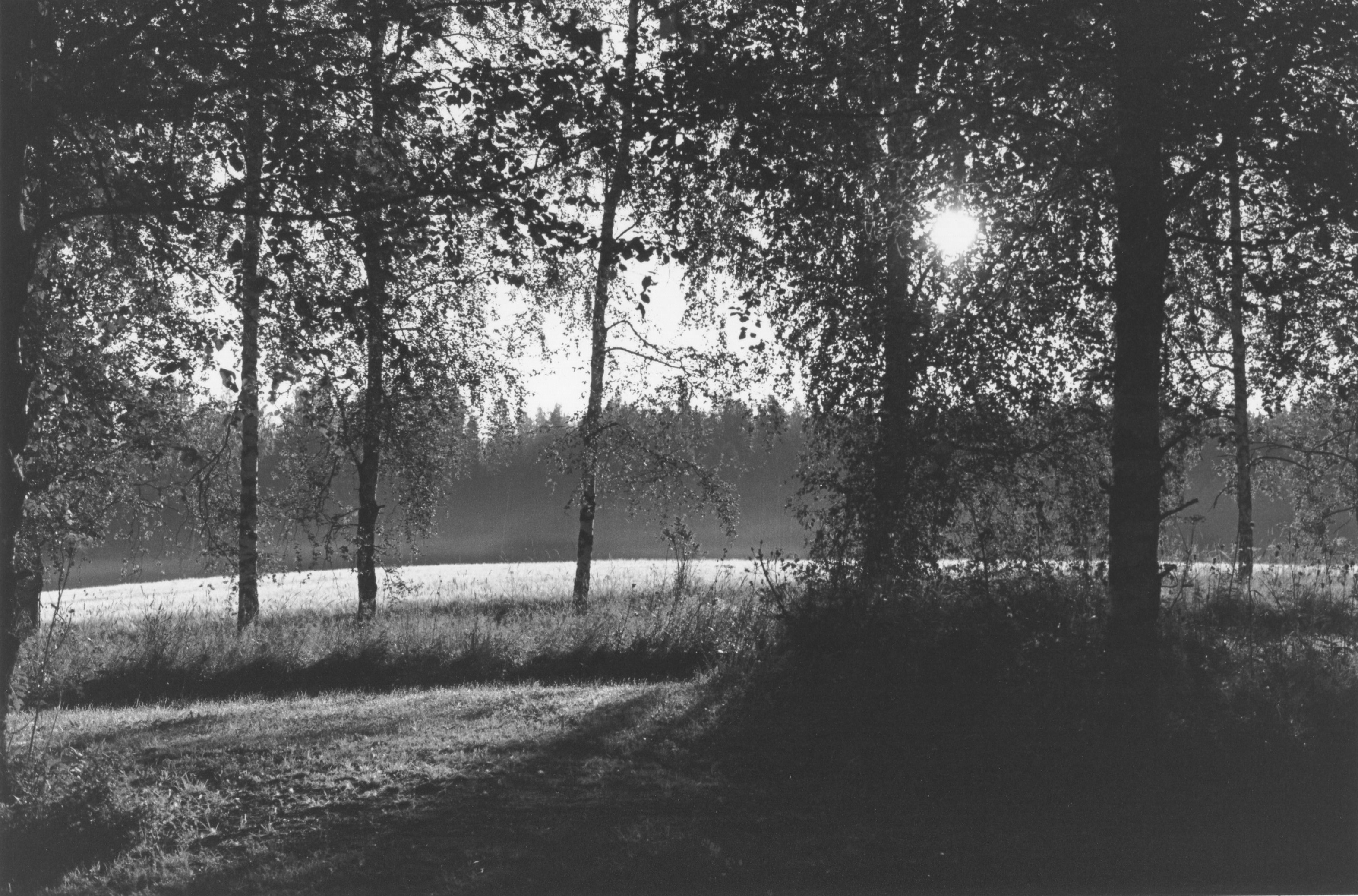 early morning – letters in light